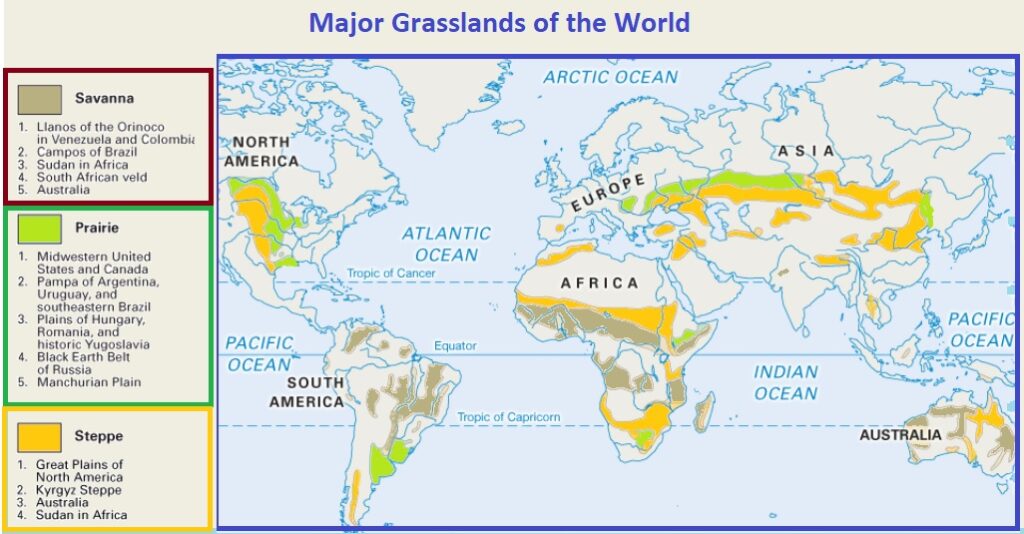 Grasslands in the World - Grasslands in the World - Geography